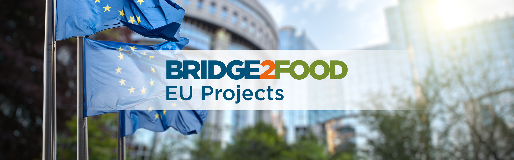 Main Website - EU Projects